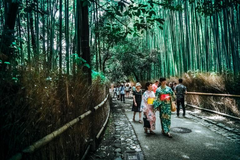 Why Japanese Language Learning Is Booming Worldwide in 2025
